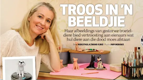 TROOS IN ’N BEELDJIE - PressReader