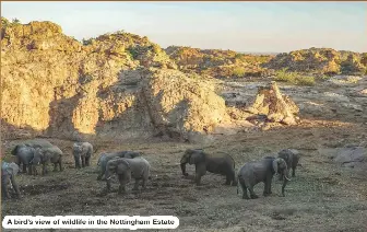 Beitbridge: A hidden gem of small tourism players! - PressReader