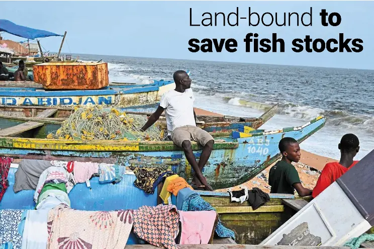 Land-bound to save fish stocks - PressReader