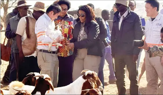 Goat project boosts Erongo farmers - PressReader