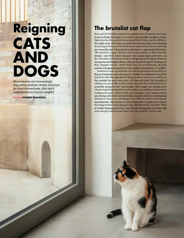 Reigning CATS AND DOGS - PressReader
