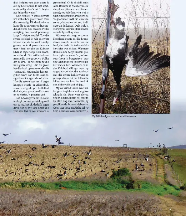 Groot, groter, grootste - PressReader