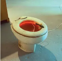 Sarah Lucas Happy Gas - PressReader