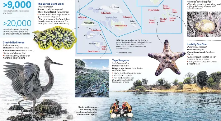 First fungi survey in over a century yields species new to Singapore ...