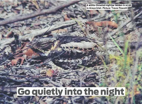Go quietly into the night - PressReader