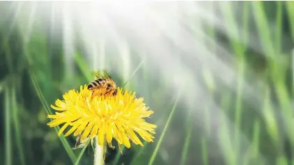 Welcome the season with a spring in your step - PressReader