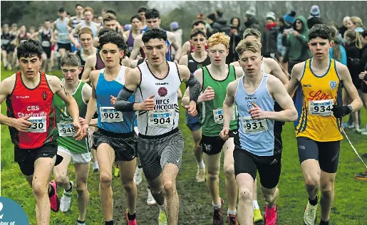 No medals for Sligo crew in Tallaght - PressReader