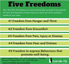 Beyond Food and Water: Five Things Your Pet Really Needs - PressReader