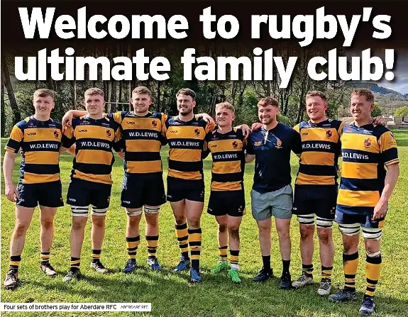 Cricket club gets approval for outdoor drinking area - PressReader