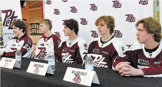 Petes newcomers excited about future of the club - PressReader
