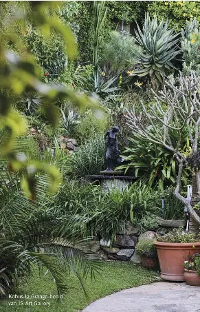 Aalwyne en broodbome - PressReader