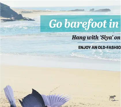 Go barefoot in - PressReader