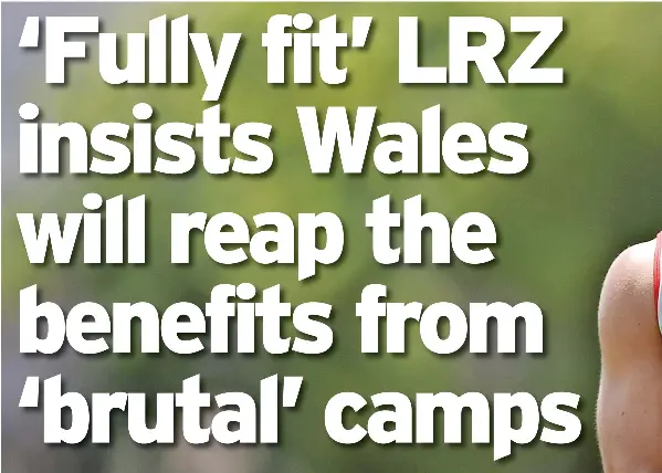 ‘Fully fit’ LRZ insists Wales will reap the benefits from ‘brutal ...