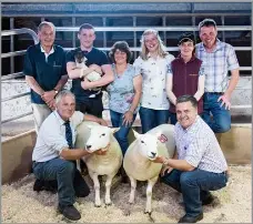 Working Genes top at £10,500 - PressReader