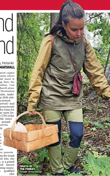 A green and pleasant land - PressReader