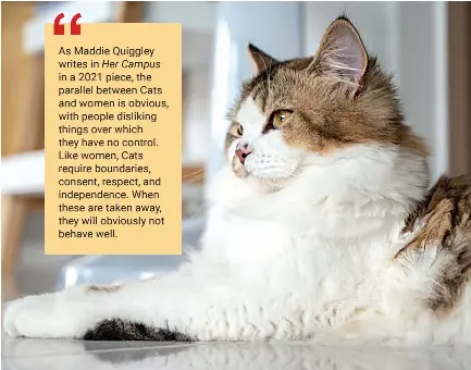 CATS ARE CONSENT CREATURES - PressReader