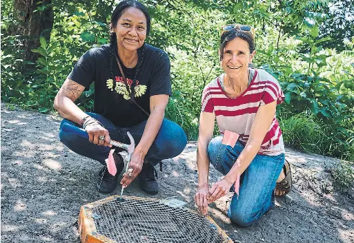 Reconcilia­tion — one turtle at a time - PressReader