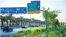 Green Riyadh embarks on tree-planting campaign - PressReader