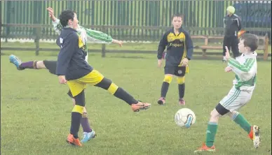 Under-8 league set to resume - PressReader