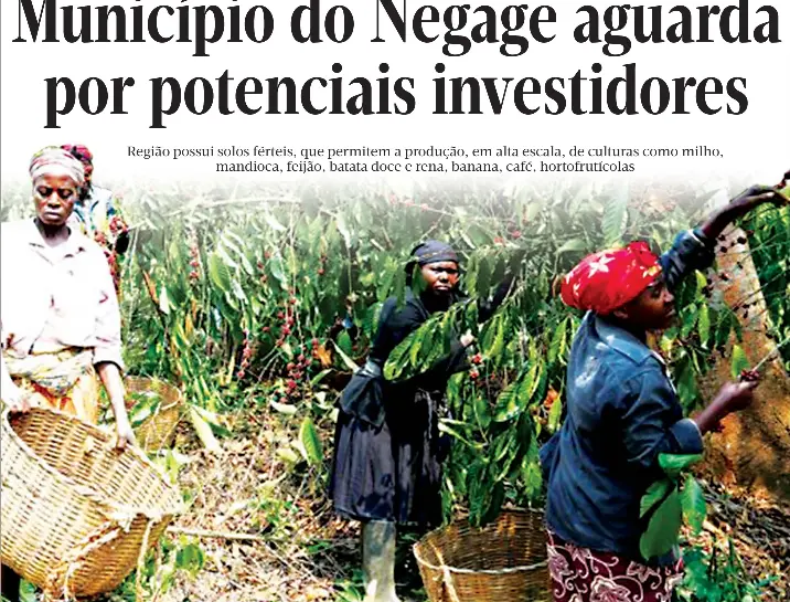 Município do Negage aguarda por potenciais investidor­es - PressReader