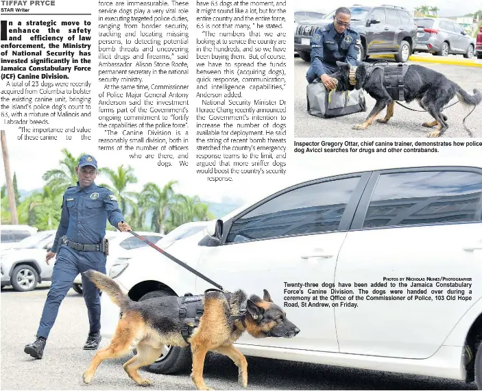 Jamaica gets more sniffer dogs - PressReader