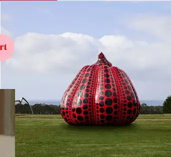 Females in the frame - PressReader