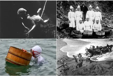 HISTORY OF AMA DIVERS OF JAPAN - PressReader