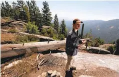 CLIMATE CHANGE TRANSFORMI­NG SWATHS OF CALIFORNIA’S MOUNTAINS INTO ‘ZOMBIE FORESTS’ - PressReader