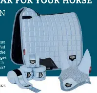 GORGEOUS GEAR FOR YOUR HORSE - PressReader