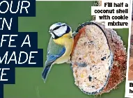 GIVE YOUR GARDEN WILDLIFE A HOMEMADE FESTIVE FEAST - PressReader