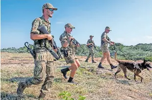 Anti-poaching K9 Camp officially opened at Mdluli - PressReader