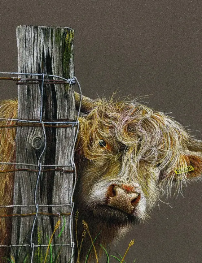 Portfolio Plus member Alan Watters - PressReader