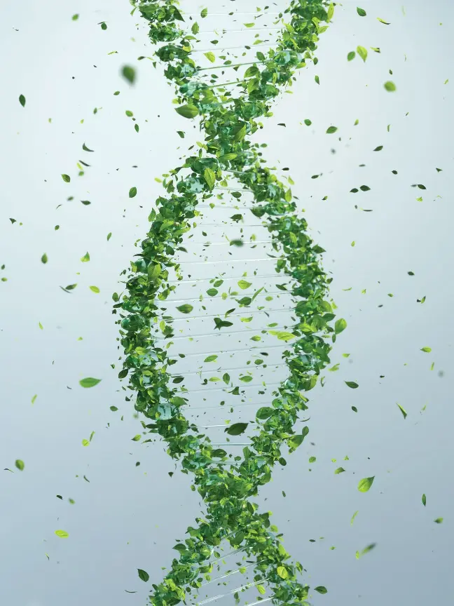 ECO Warriors - PressReader