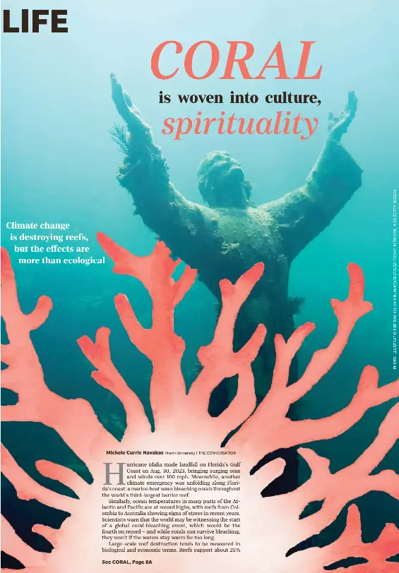 Natural drama and broken branches of belief - PressReader