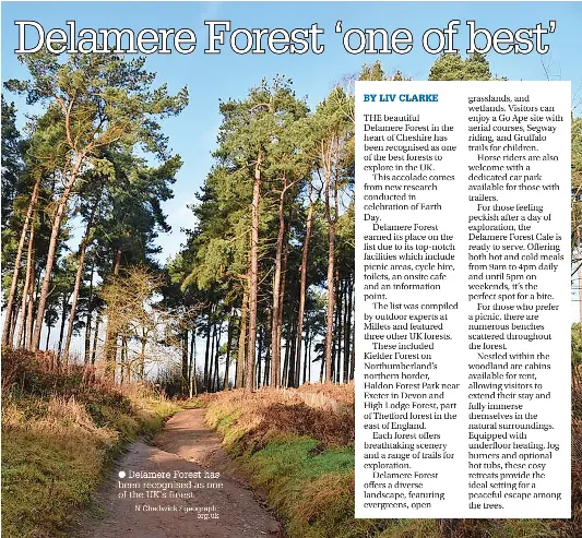 Delamere Forest ‘one of best’ - PressReader