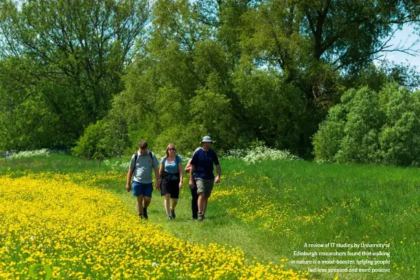 What are the health benefits of walking? - PressReader