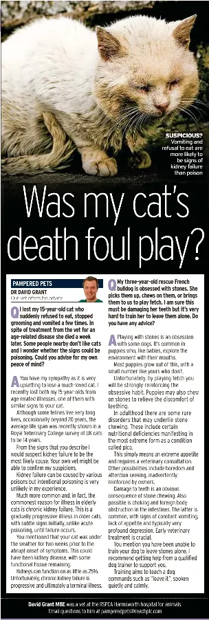 Was my cat’s death foul play? - PressReader
