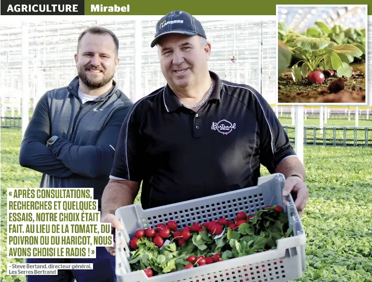 Après le cannabis, la culture du radis - PressReader