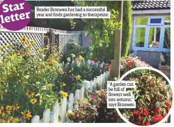 My garden and sanctuary - PressReader
