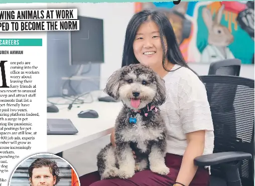 Pet-friendly offices - PressReader