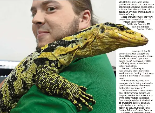 Animal anguish in America - PressReader