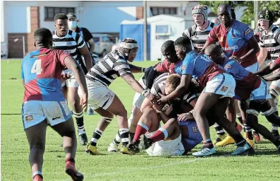 Selborne gears up for Graeme onslaught at annual Rugby Day - PressReader