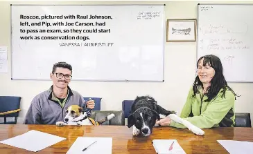 Success for conservati­on newbies - PressReader