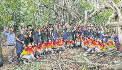 A TRIBUTE TO THE FOREST - PressReader