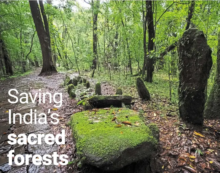 Saving India’s sacred forests - PressReader