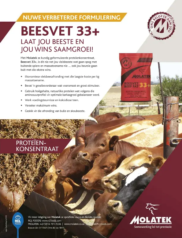 BEESVET 33+ - PressReader