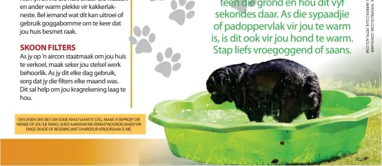 HOU SÓ JOUTROETEL­DIERE KOEL - PressReader