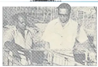 Modern, largest piggery - PressReader