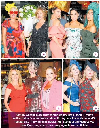 THE SWAN TAKES FLIGHT - PressReader