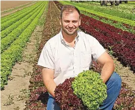 Erntezeit in paradiesis­cher Wiege des Bio-Landbaus - PressReader